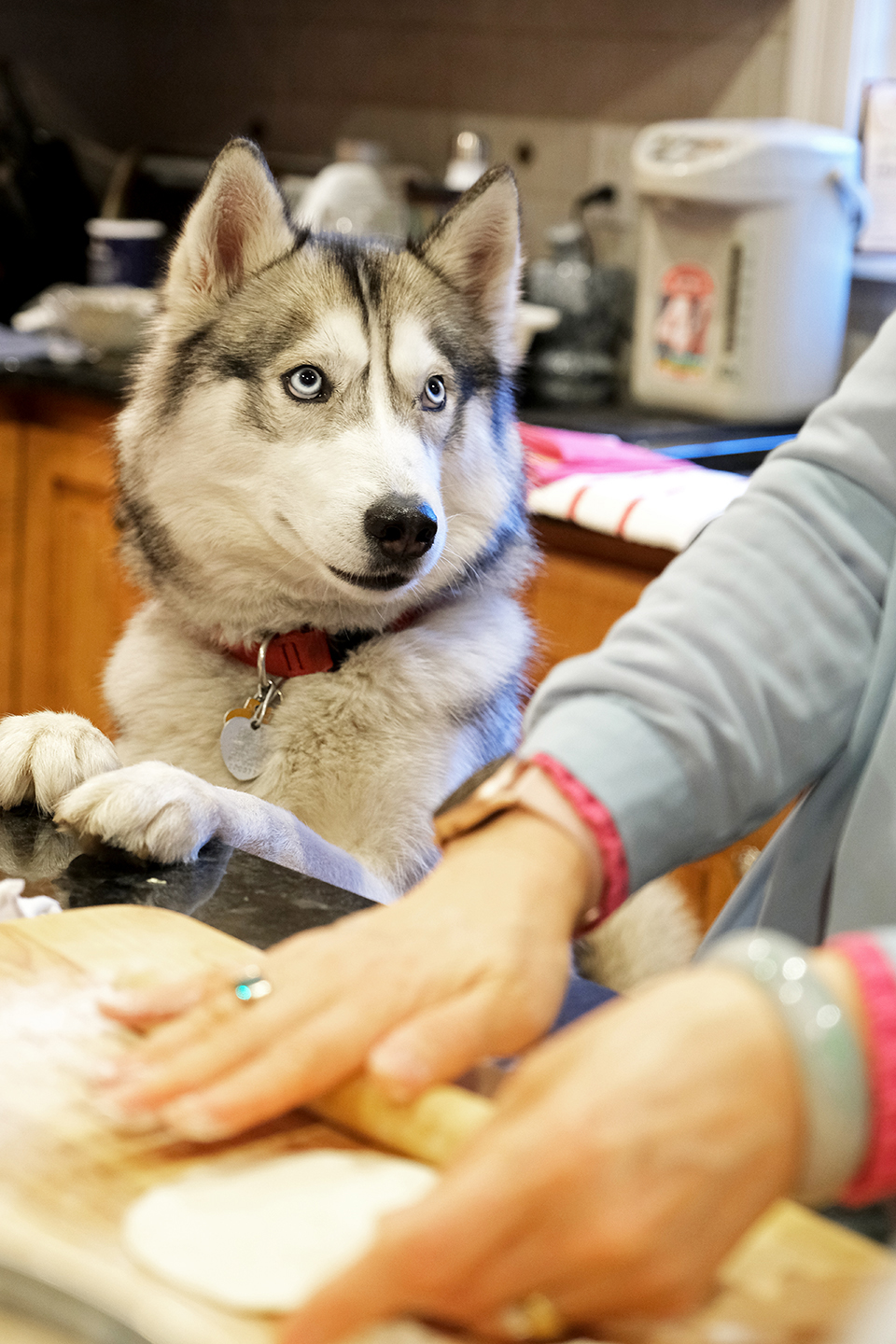 About – Yummy Yang